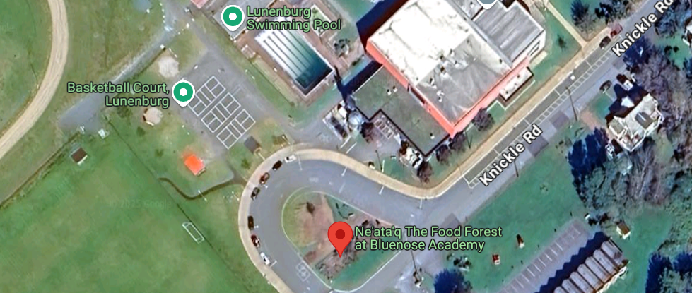 Contact Us – Ne'ata'q: The Food Forest at Bluenose Academy